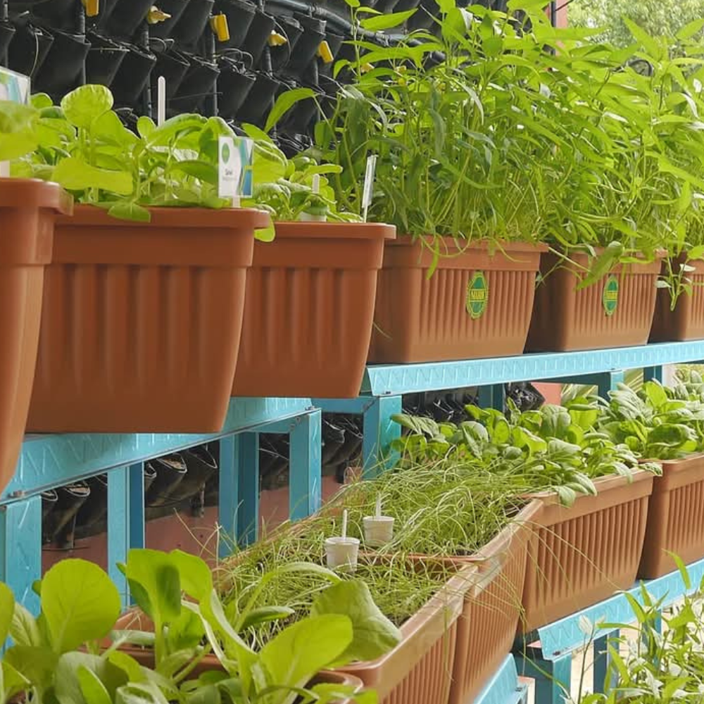 Urban Farming :: GREEN KIT