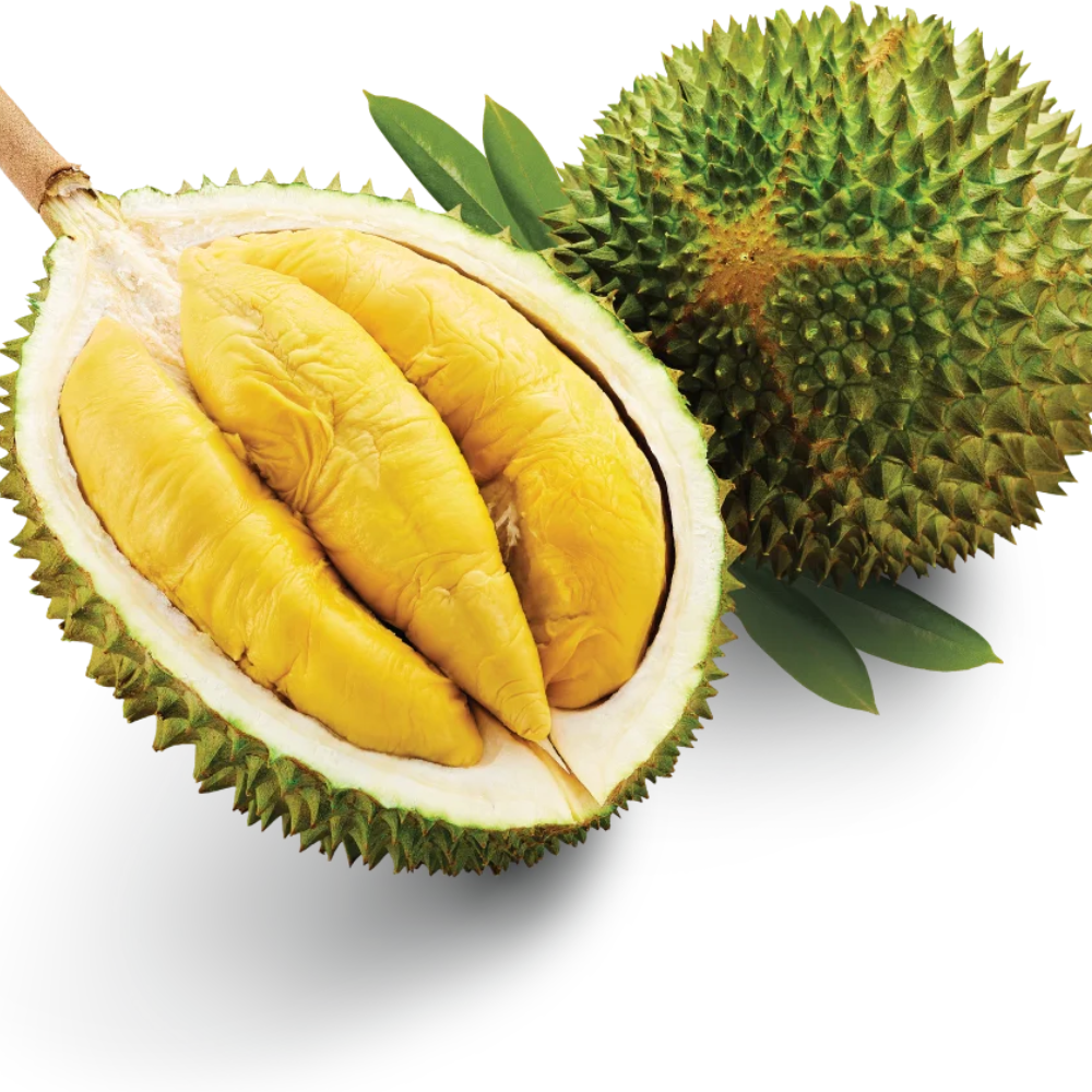 Pokok Durian Musang Rei