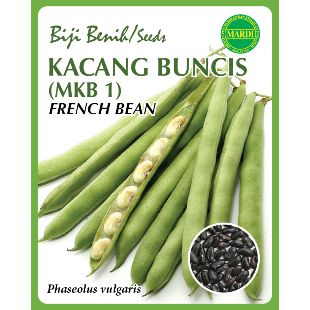 Biji Benih :: KACANG BUNCIS MKB 1