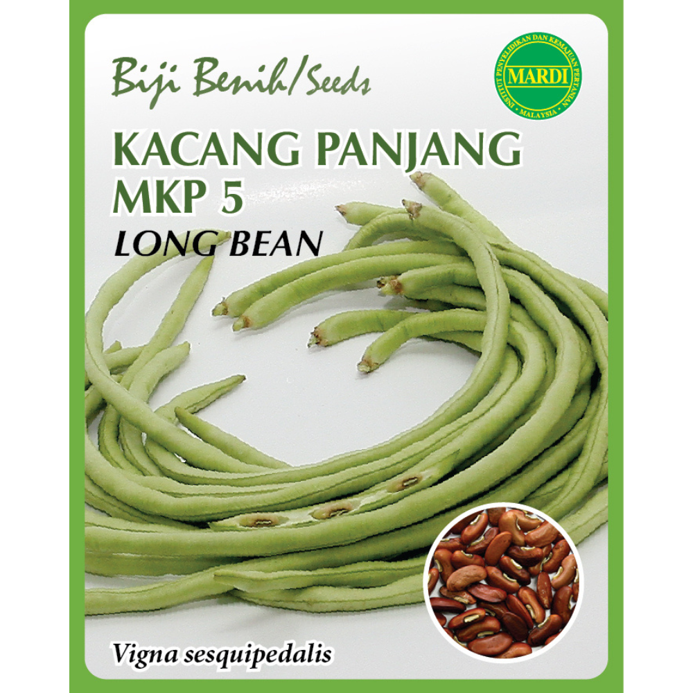 Biji Benih :: KACANG PANJANG MKP 5